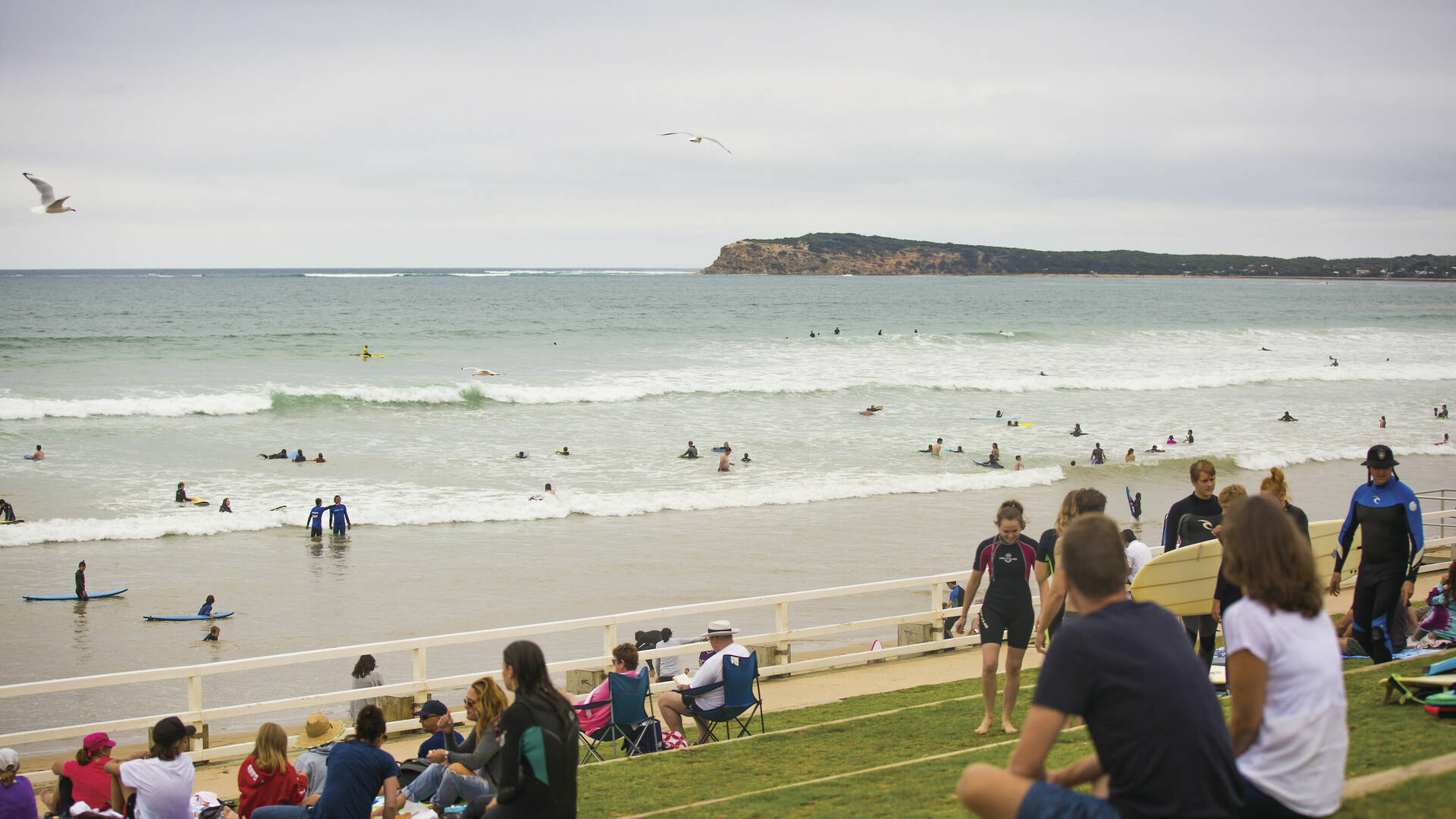 Bellarine Peninsula: what to eat, drink and do