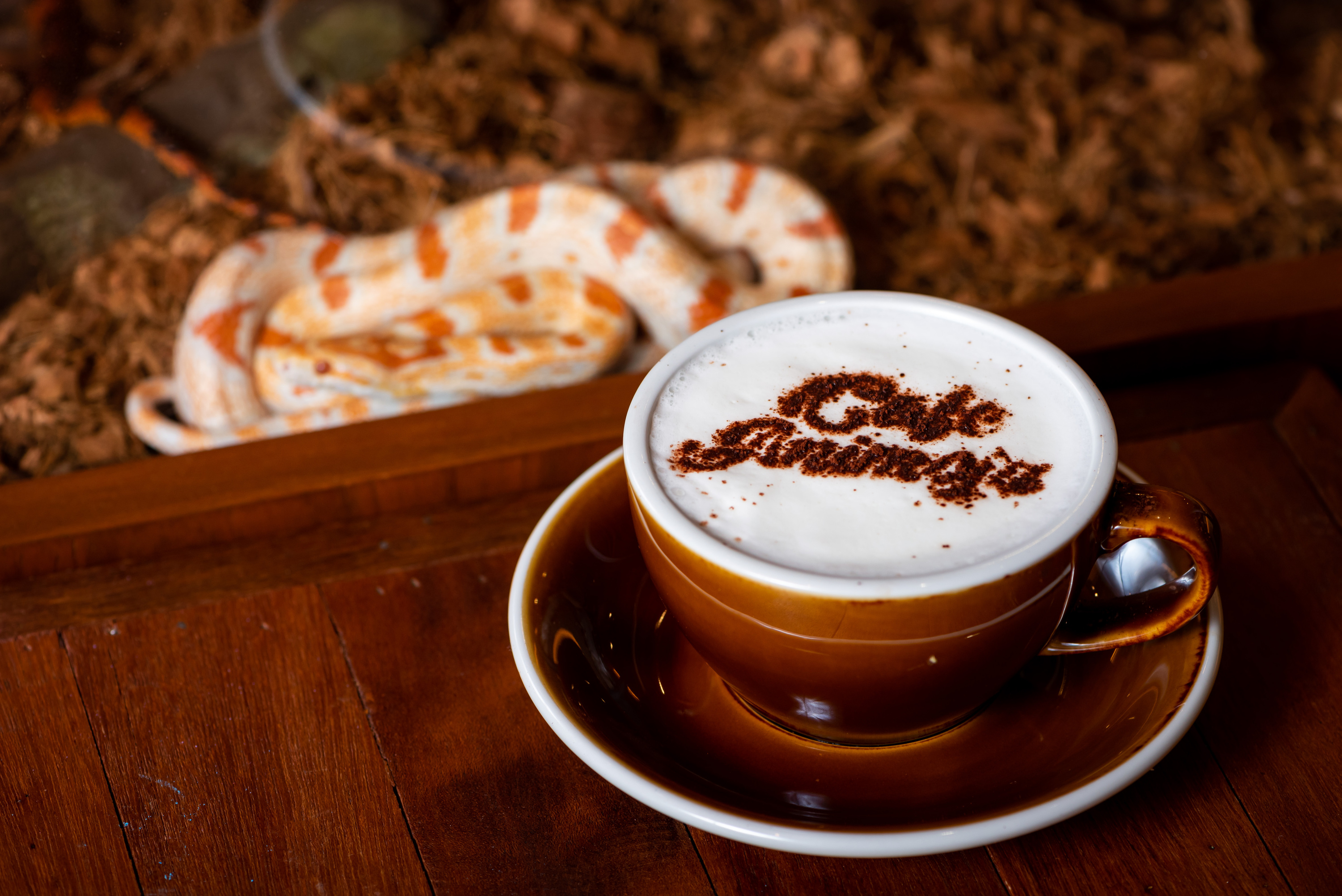 Café Animojo | Restaurants in Central, Hong Kong