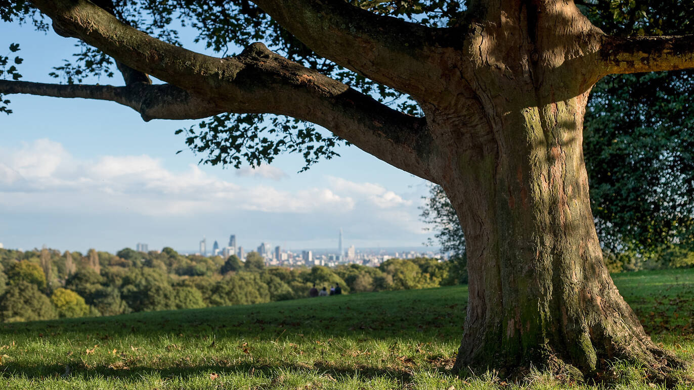 Really Pretty Walks Around London | 10 Pretty London Walking Routes