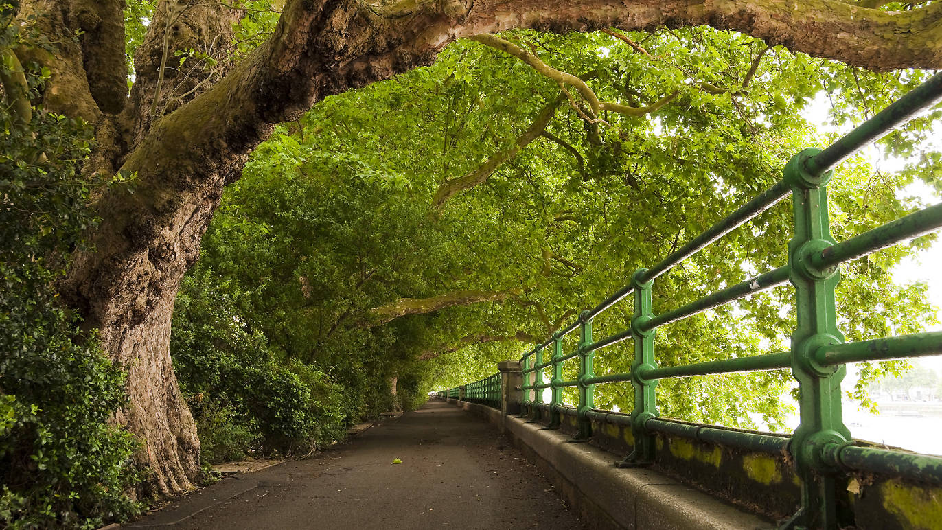 Really Pretty Walks Around London | 10 Pretty London Walking Routes