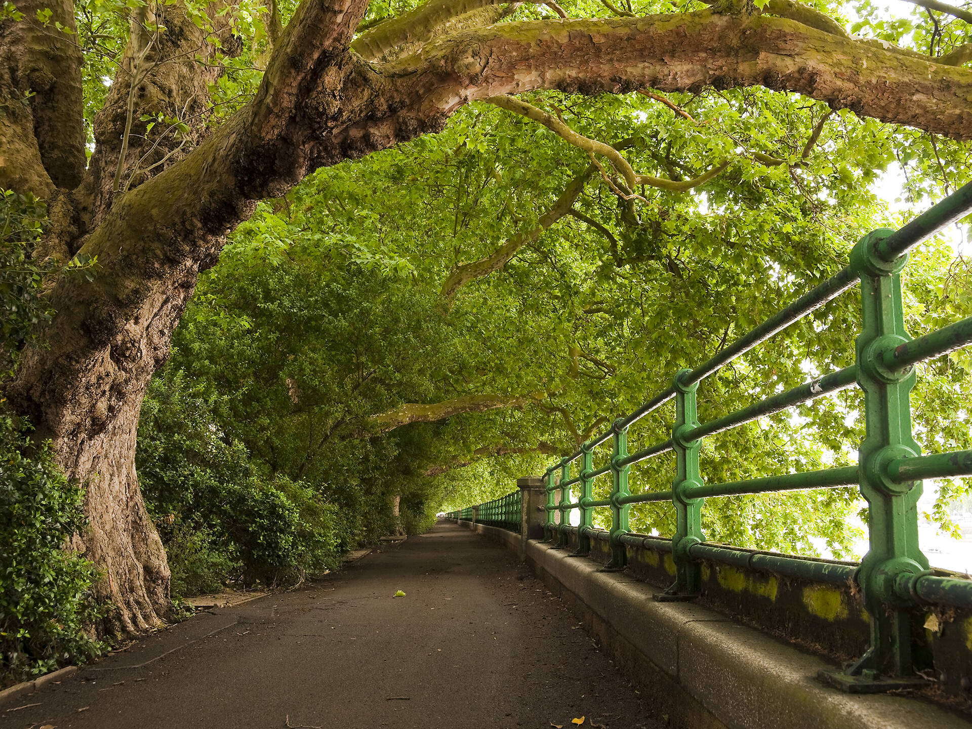 Really Pretty Walks Around London | 10 Pretty London Walking Routes