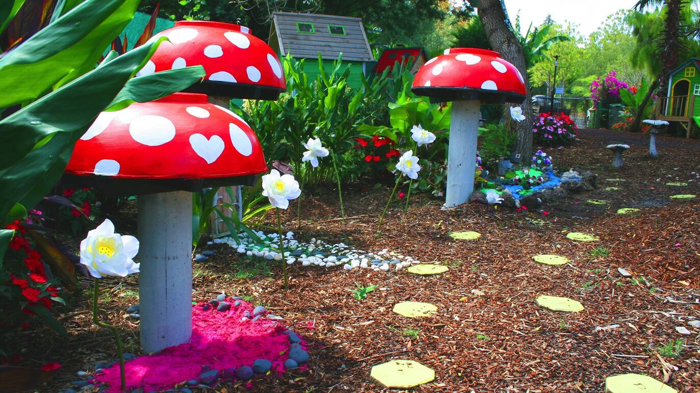 Blue Lotus Water Garden: Visit Melbourne's magical waterlily garden