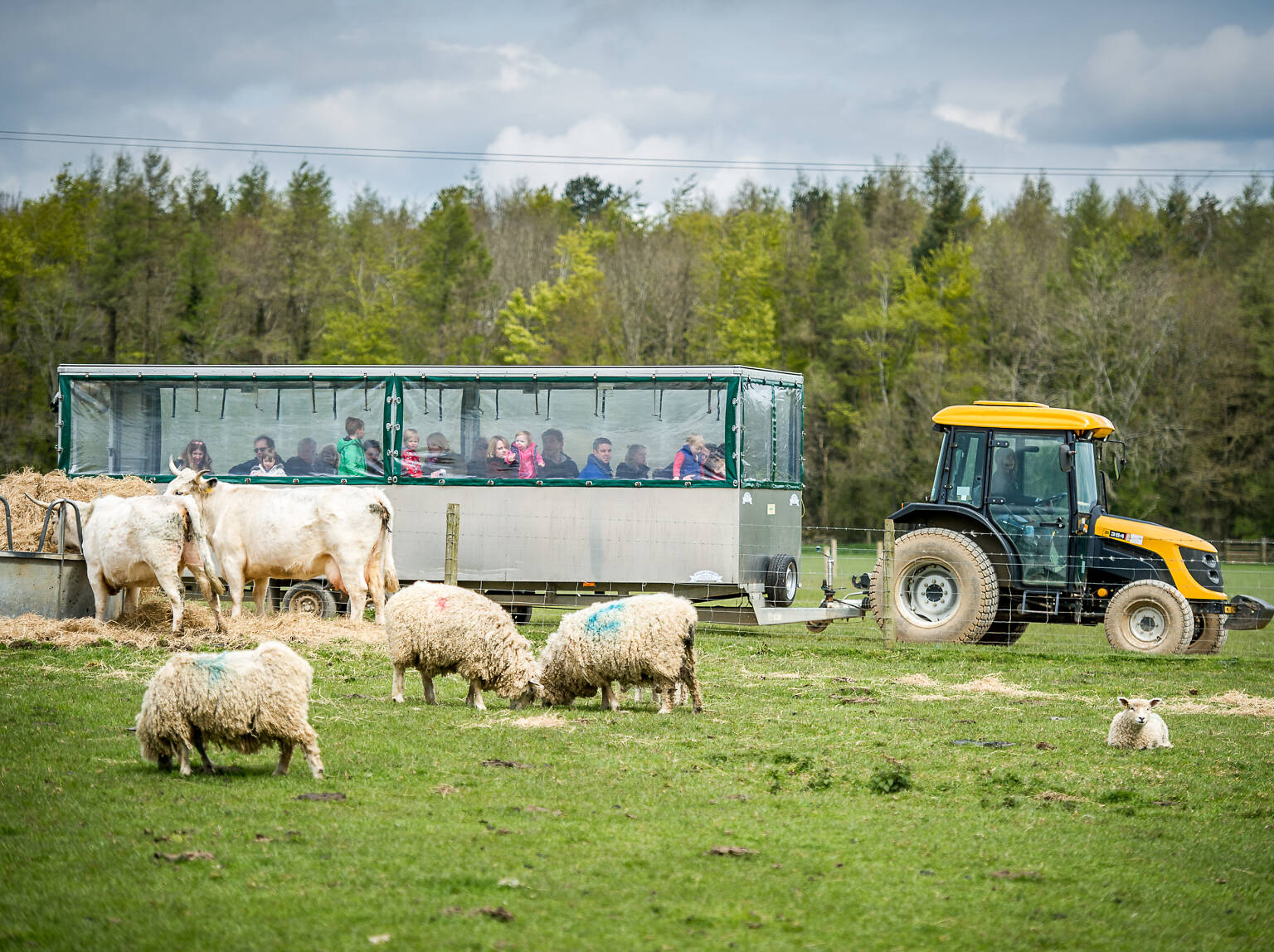 7 Best Things To Do in Kingham Right Now