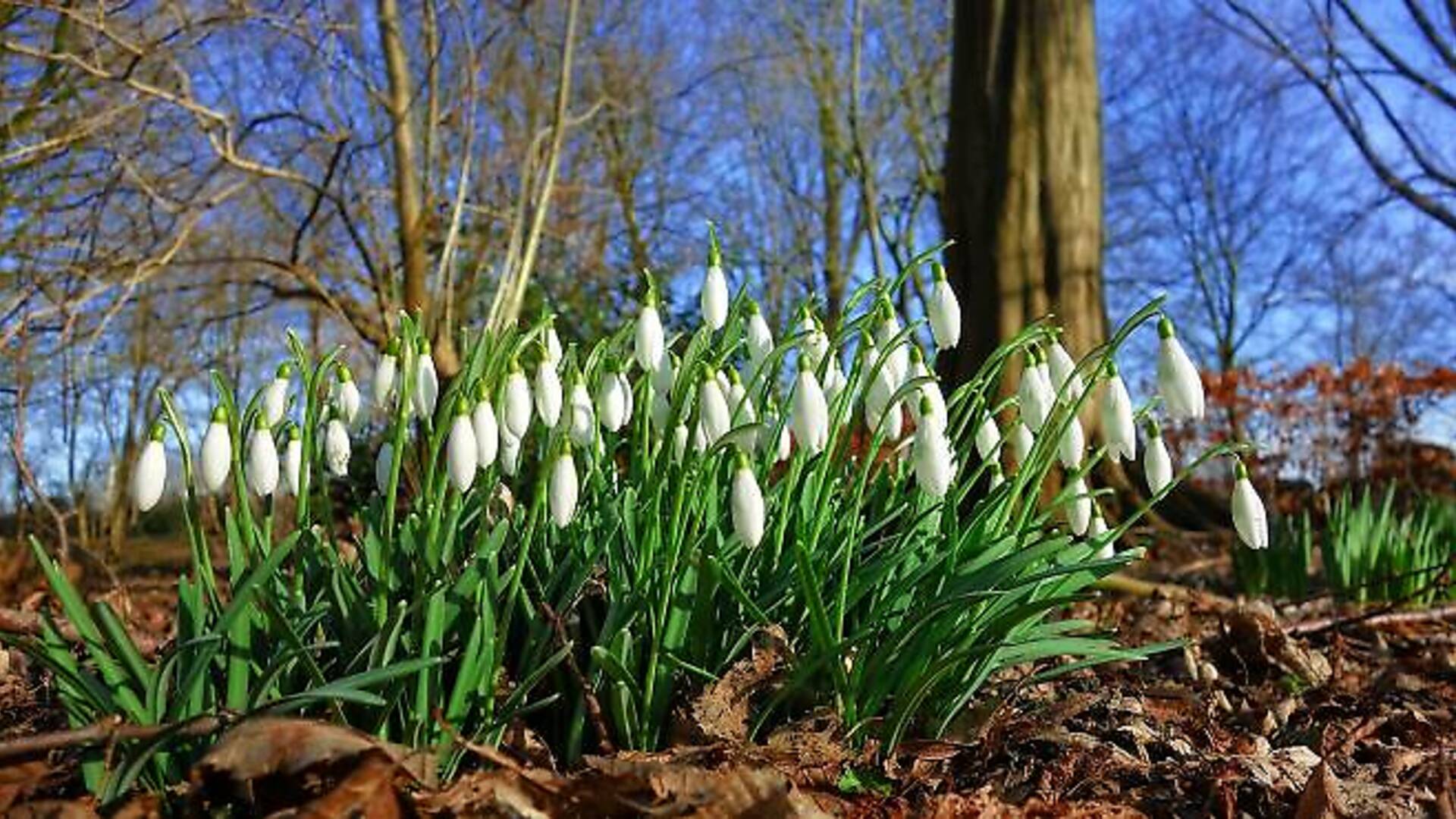 Where To Spot Wildlife in London All Year Round | Nature In London