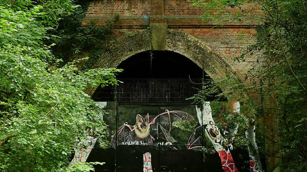 Where To Spot Wildlife in London All Year Round | Nature In London