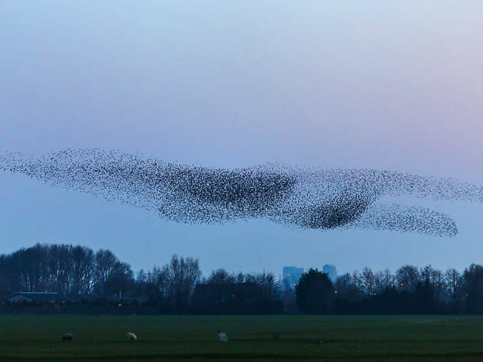 Where To Spot Wildlife in London All Year Round | Nature In London