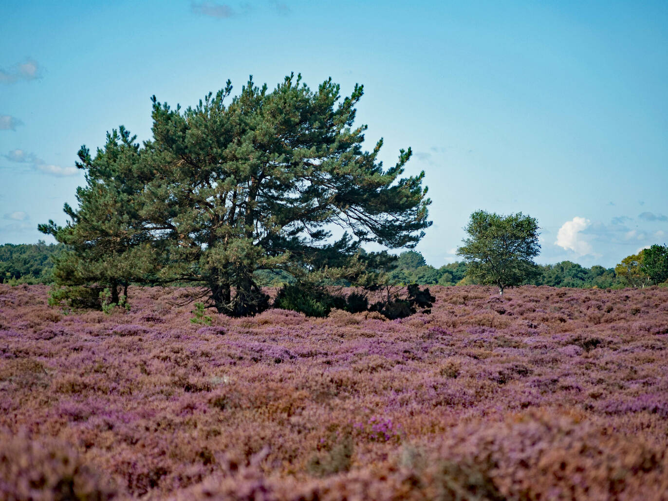 Best Things To Do in Norfolk | 14 Amazing Attractions