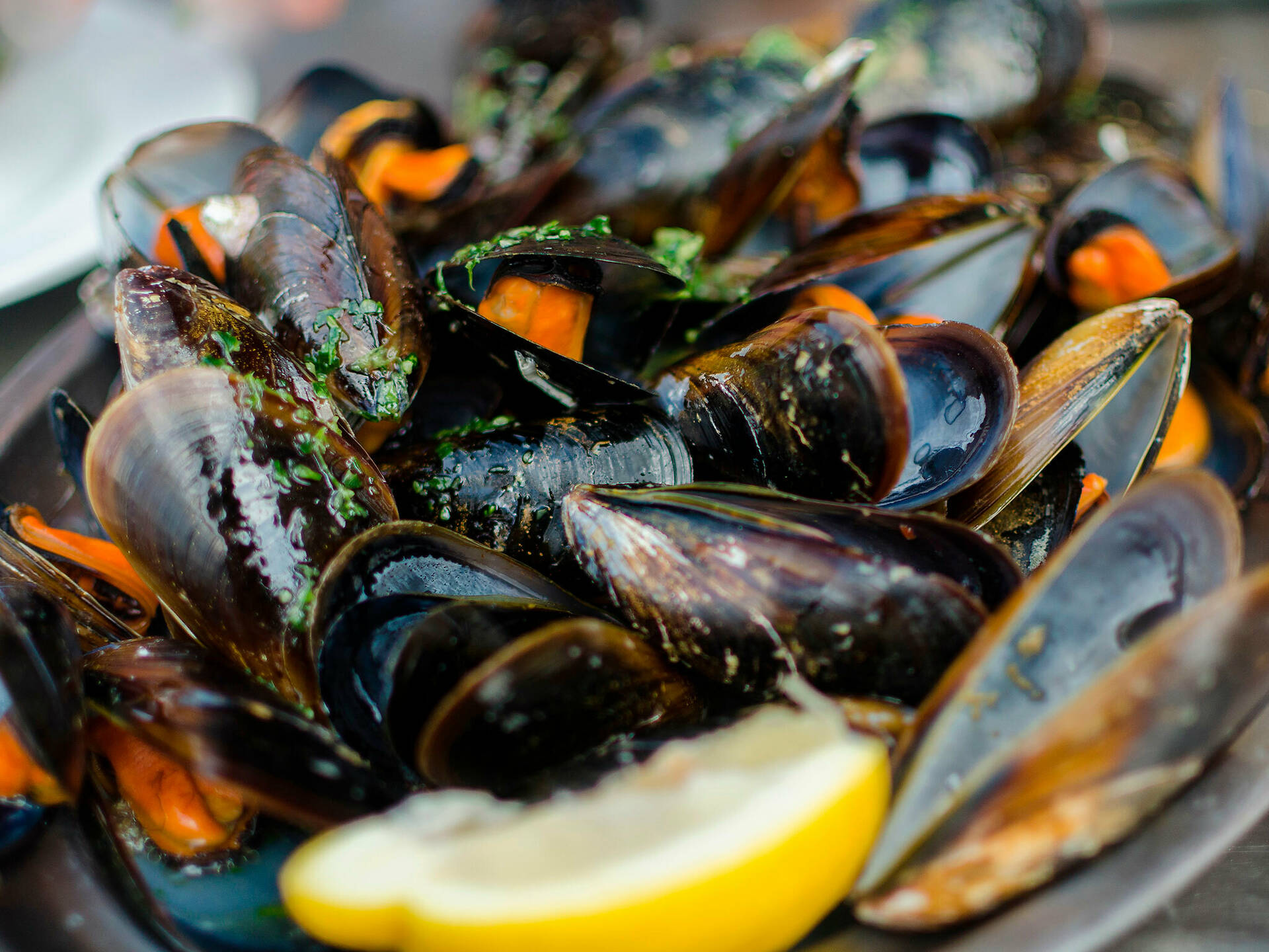 7 Best Restaurants in Aberdeen For All Budgets