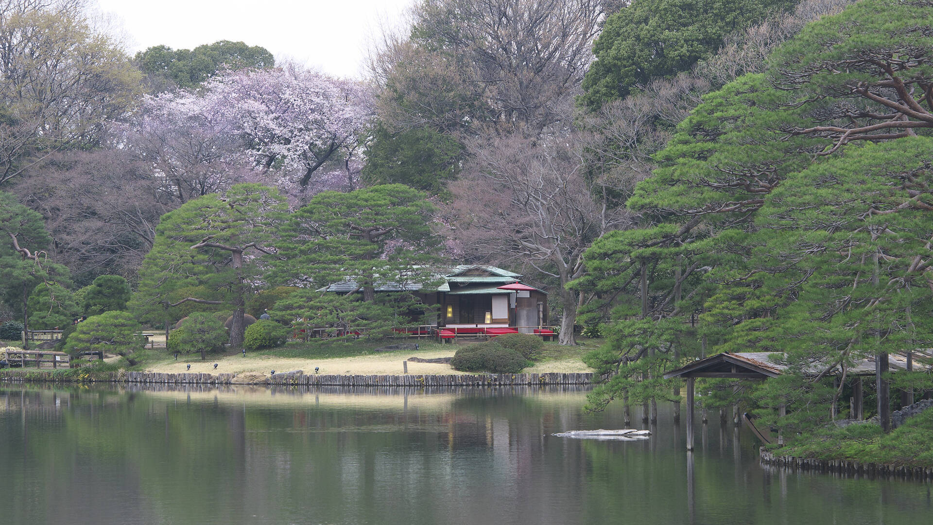 Rikugien | Attractions in Komagome, Tokyo