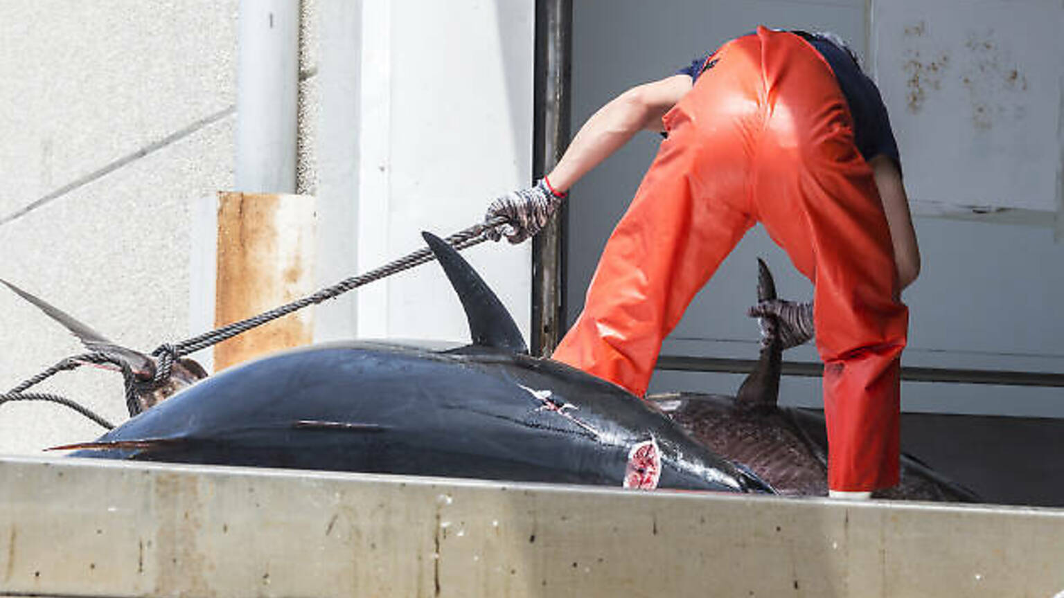 25 Best Things to Do in Spain