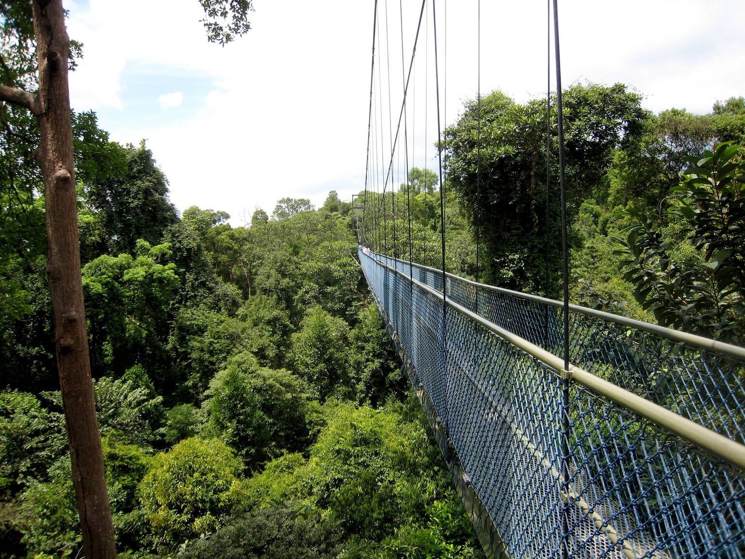 Guide To Pulau Ubin: Things To Do And Explore On The Island