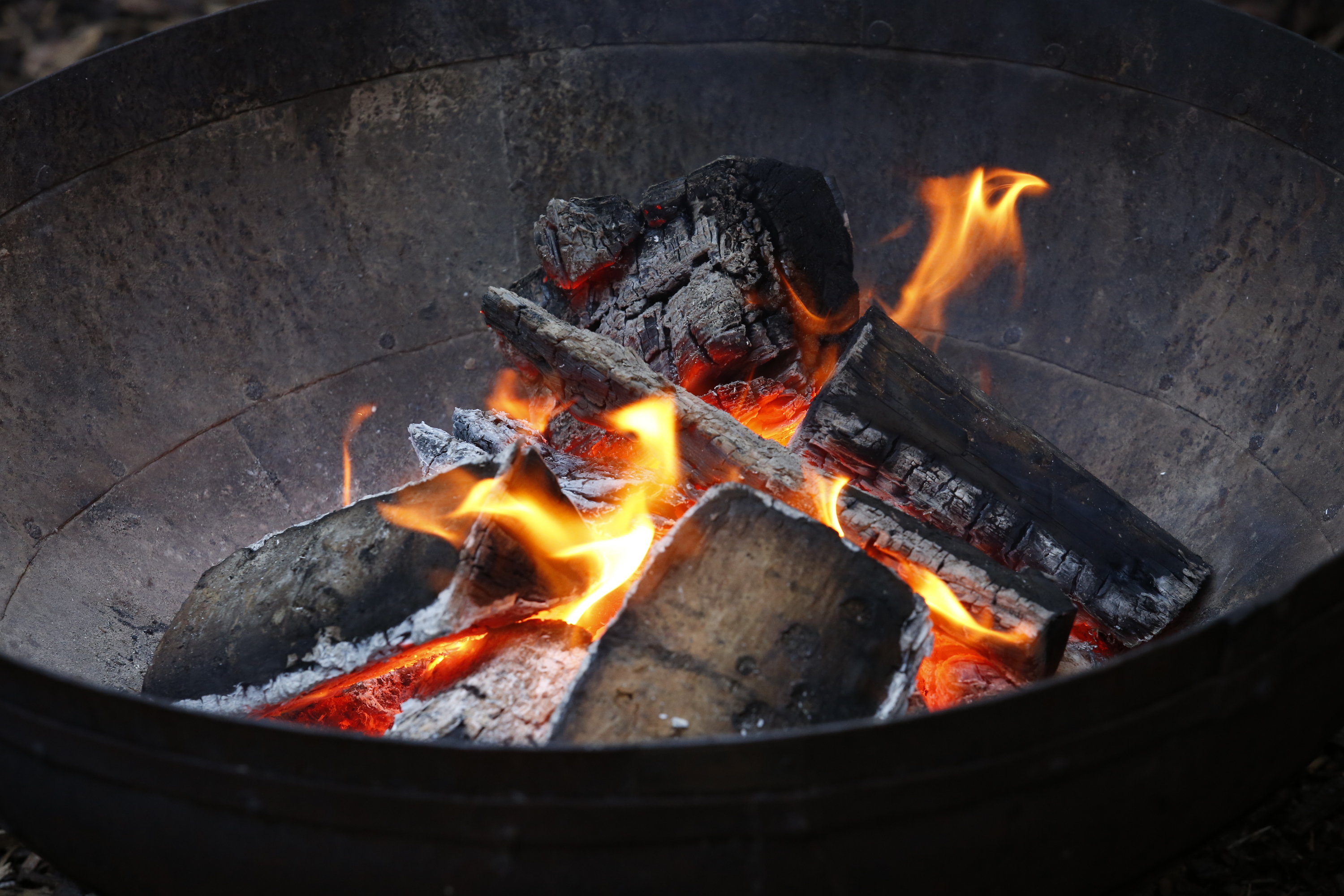 Bushcraft Skills: Campfire Building | Things to do in London