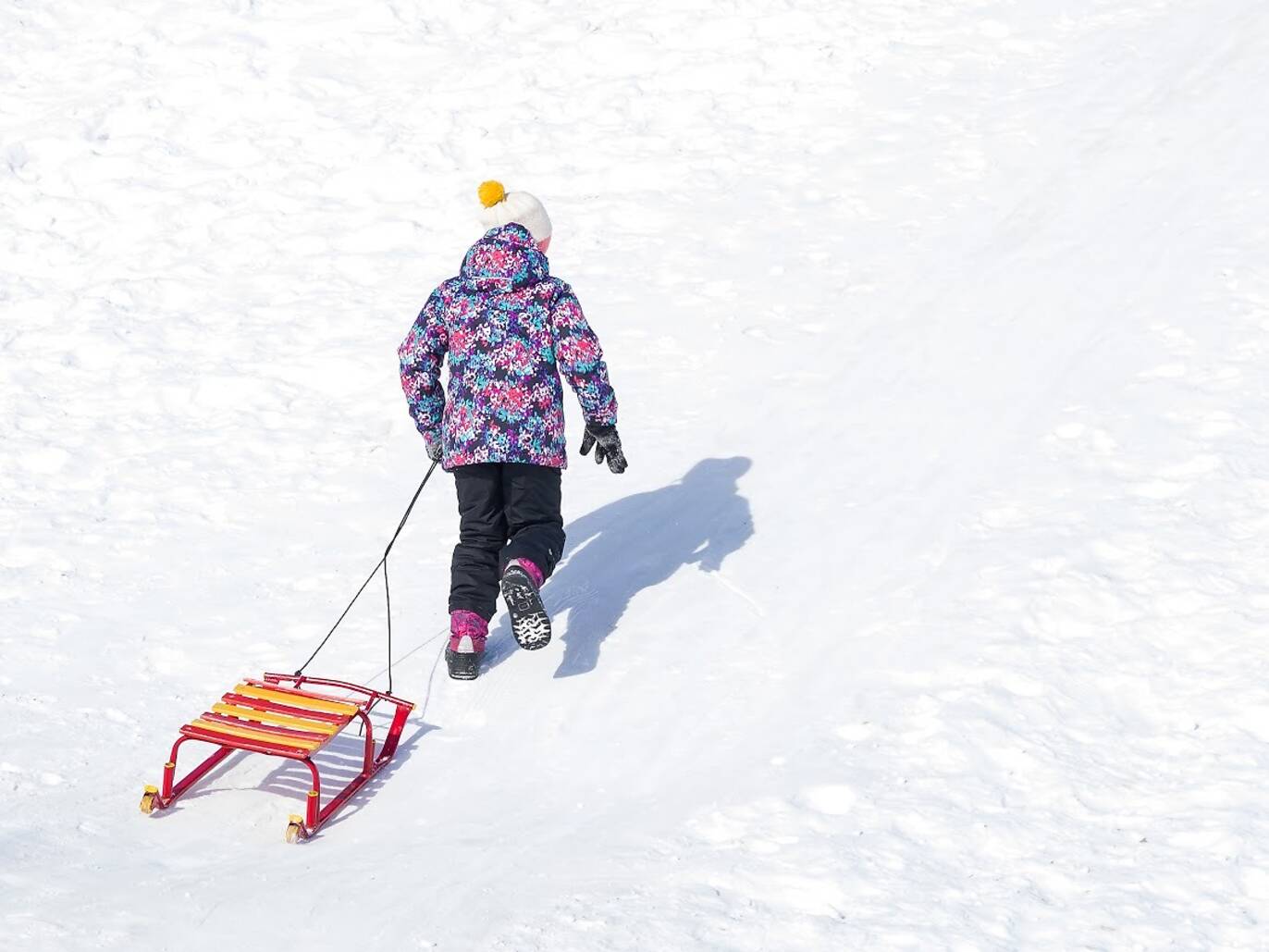 16 Spots for Sledding in NYC in the Snow