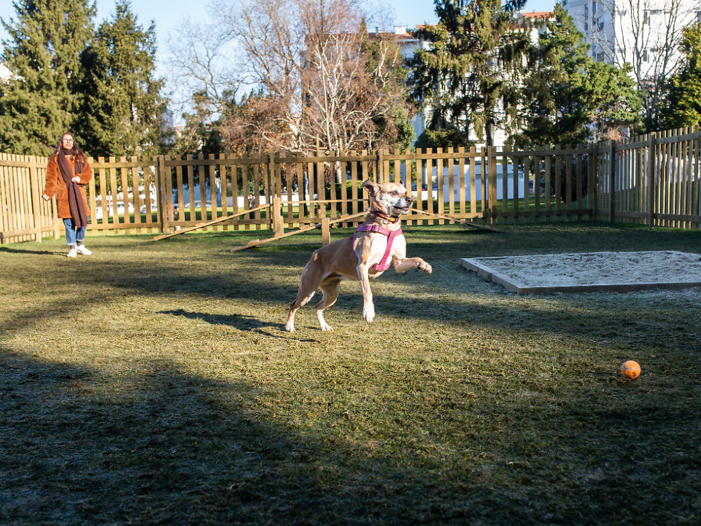 Ponha os seus limites à prova no Banzai, o novo espaço da Invicta