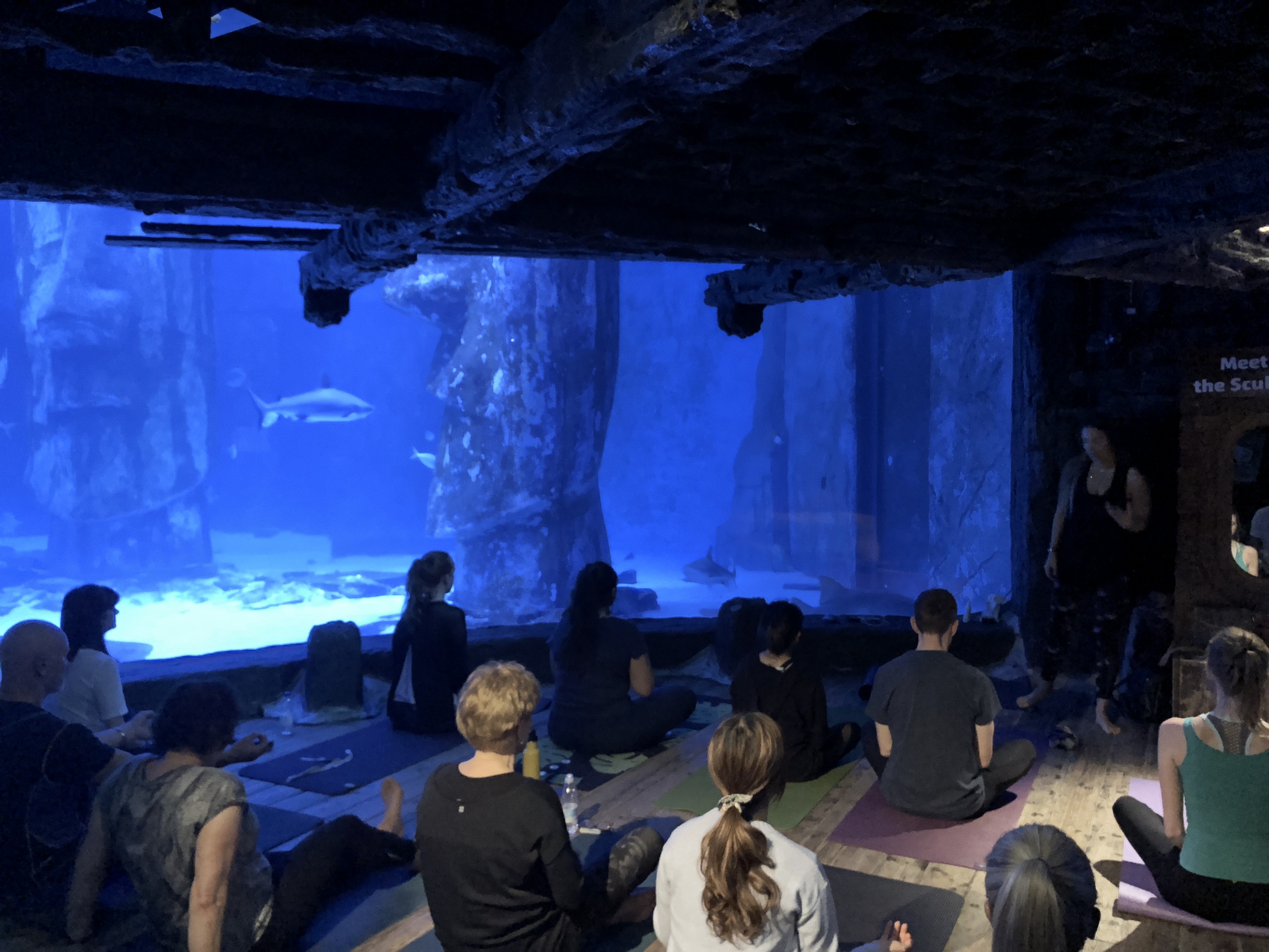 SEA LIFE London Aquarium | Tickets, facts, deals and general info ...