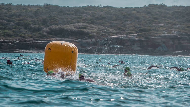 Murray Rose Malabar Magic | Sport and fitness in Sydney