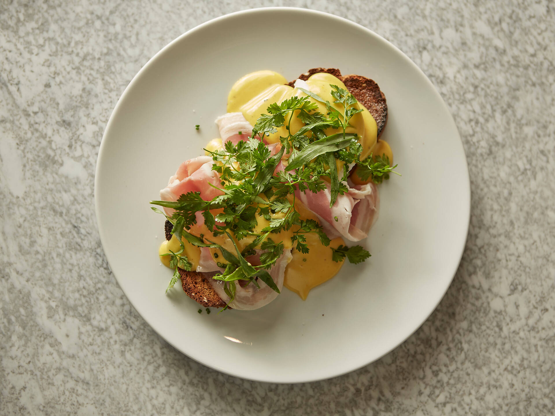 The Best Restaurants in Hampstead | 7 Top Spots in NW3 and NW6
