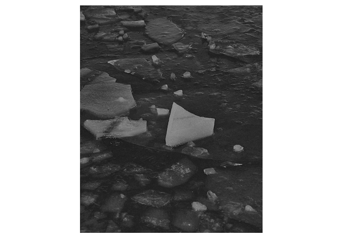 Cole Barash 写真展 Stiya