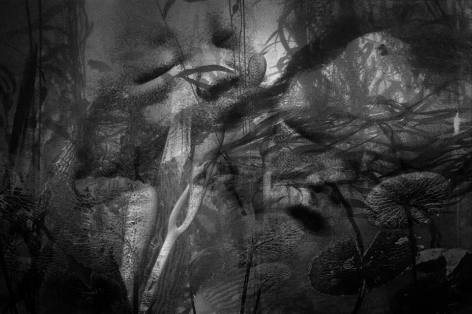 Pure Land | Art in Bangkok