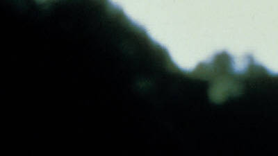 30 Best Animal Movies and Pet Movies To Watch As a Family