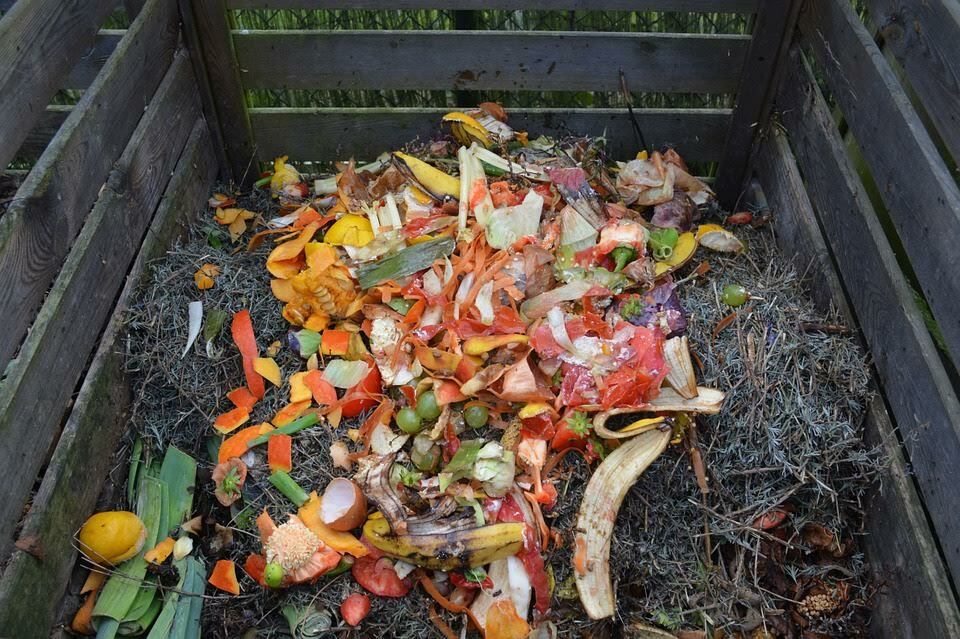 Lasagna Composting | Things to do in New York Kids
