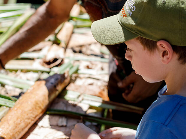 Bush Tucker | Kids in Sydney