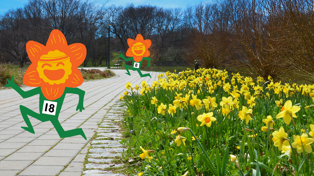 Daffodil Dash 4k Fun Run | Things to do in New York Kids