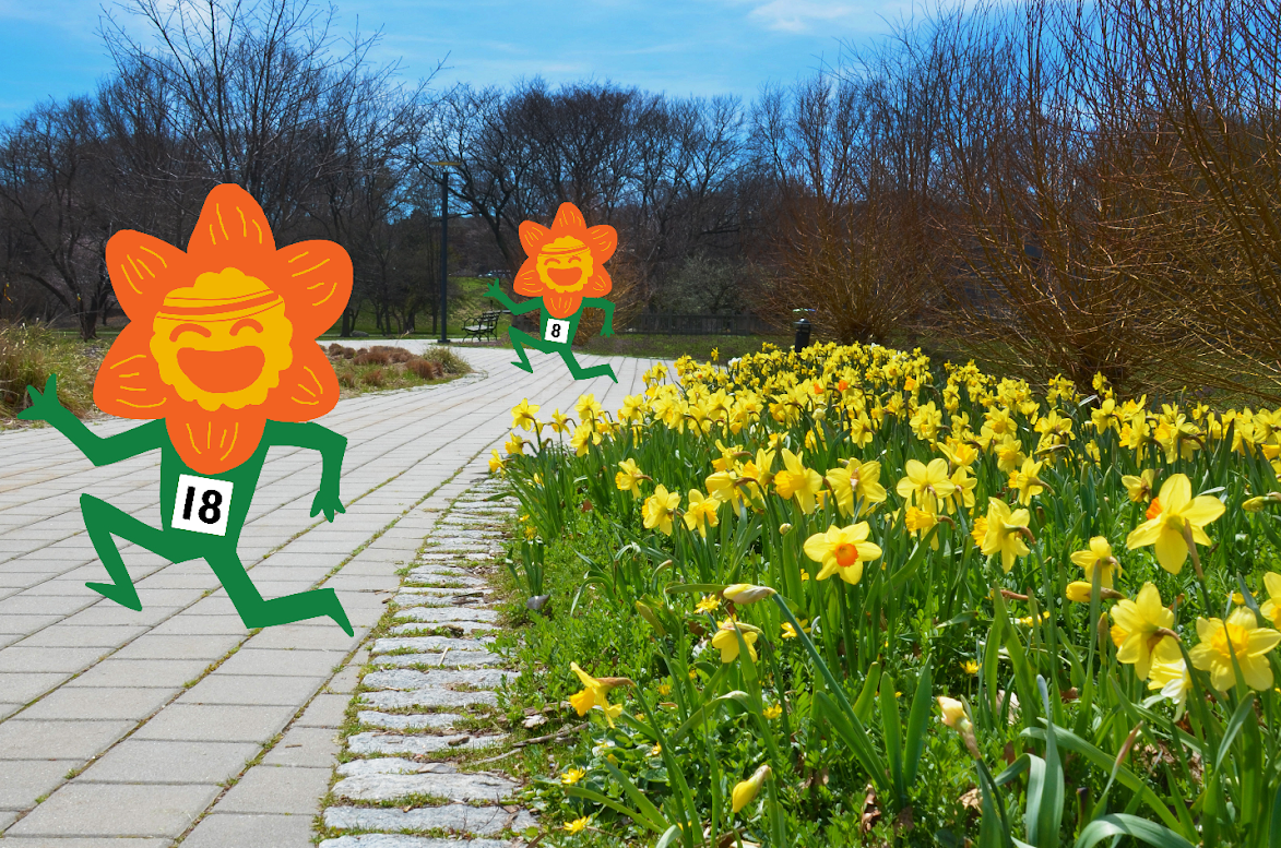 Daffodil Dash 4k Fun Run | Things to do in New York Kids