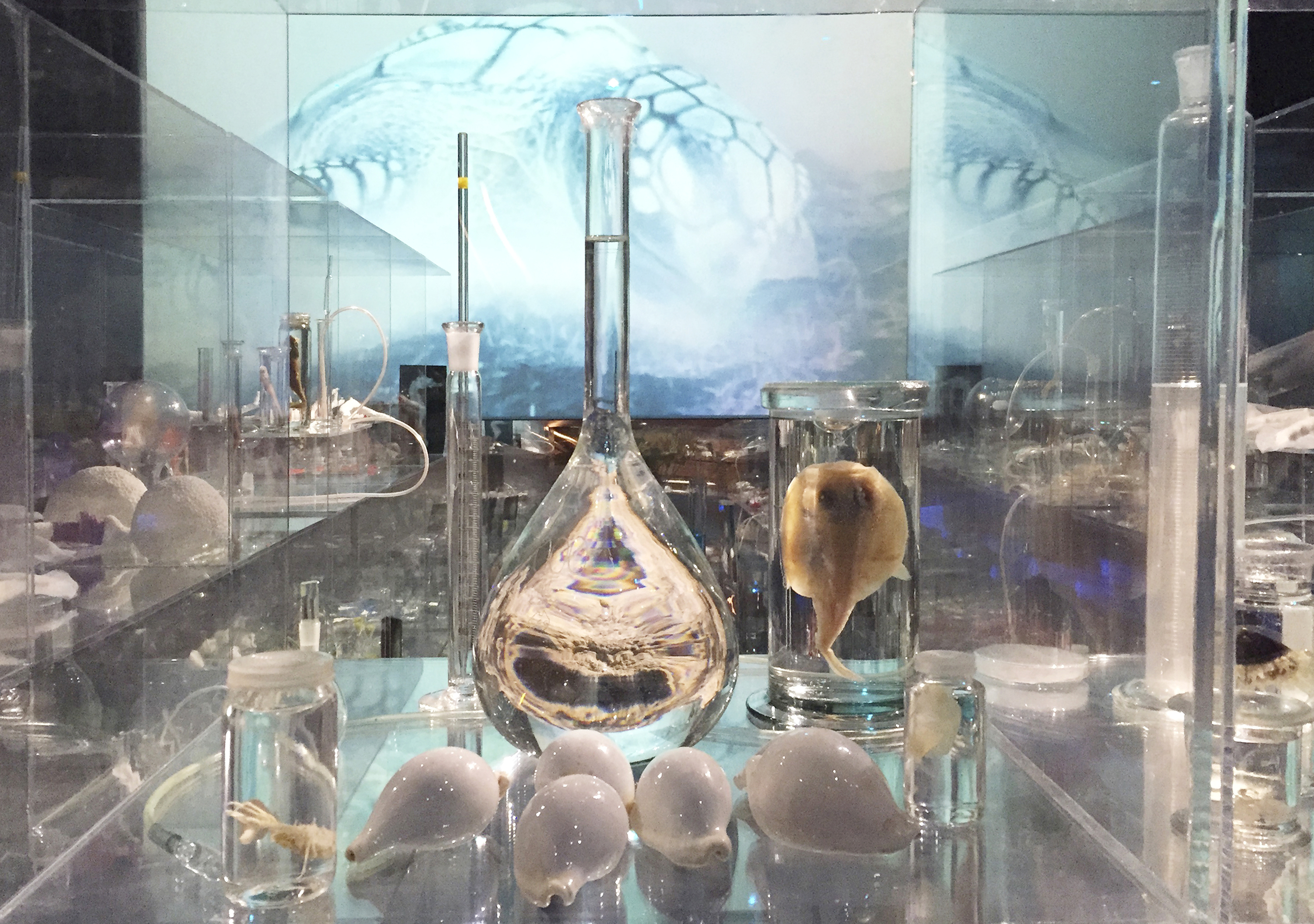 Things to do in Sydney this weekend | What's on in Sydney