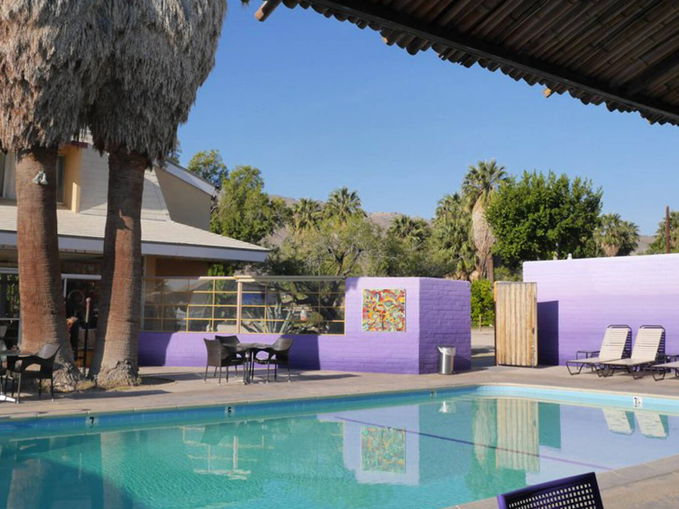 8 Best Things to Do in Twentynine Palms for Desert Visitors