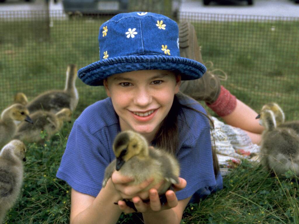 30 Best Animal Movies and Pet Movies To Watch As a Family