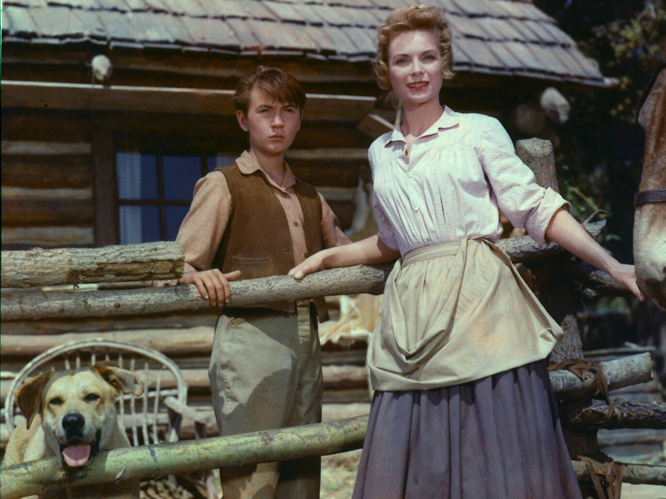 31 Best Animal Movies and Pet Movies To Watch As a Family