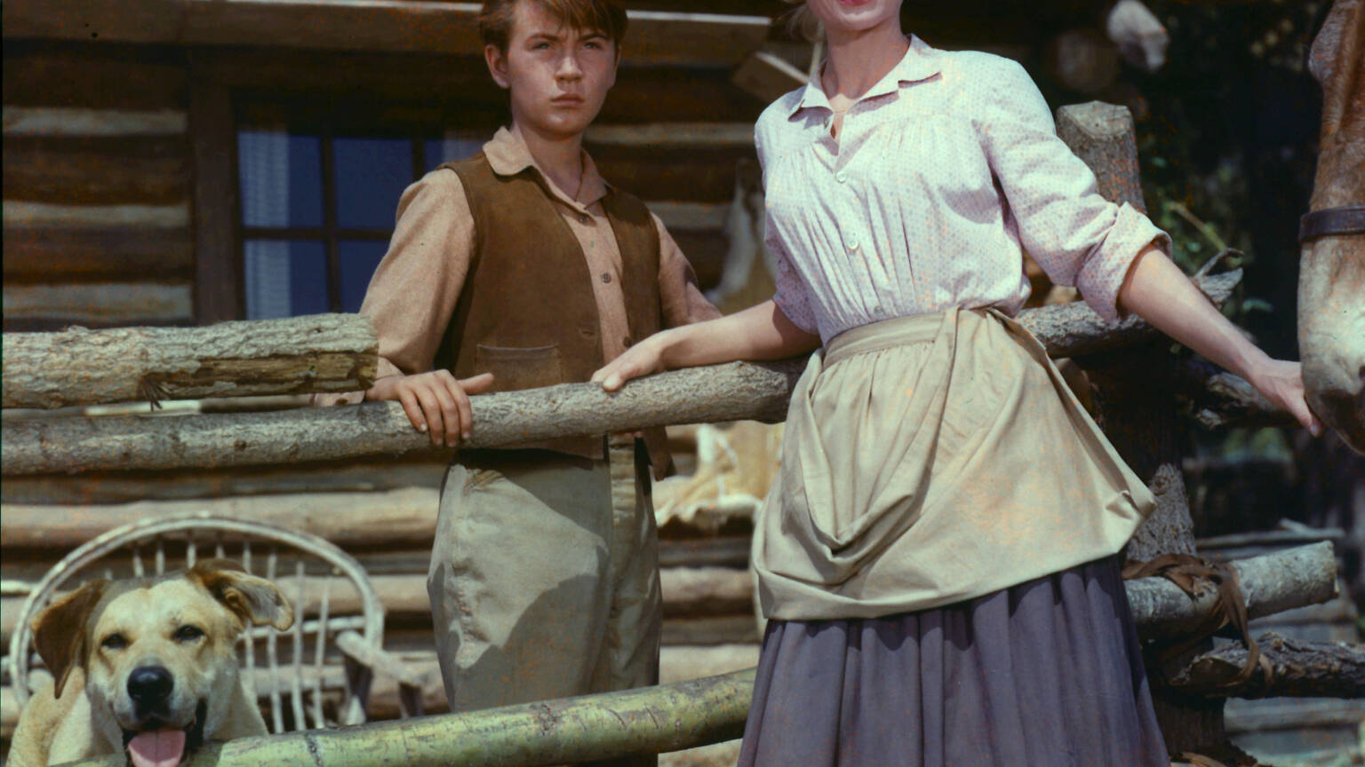 30 Best Animal Movies and Pet Movies To Watch As a Family