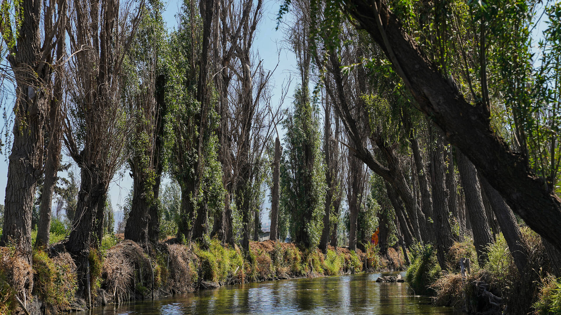 Lago de los Reyes Aztecas, el remanente de la cuenca del Valle de ...