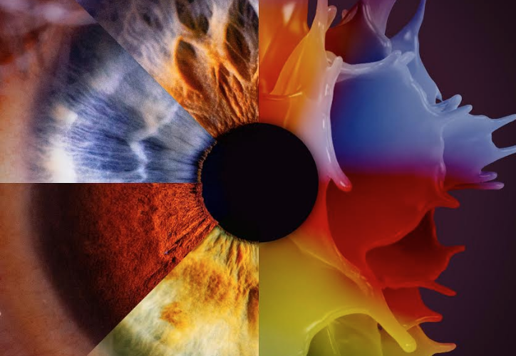 The Institute of Primal Colour | Things to do in London