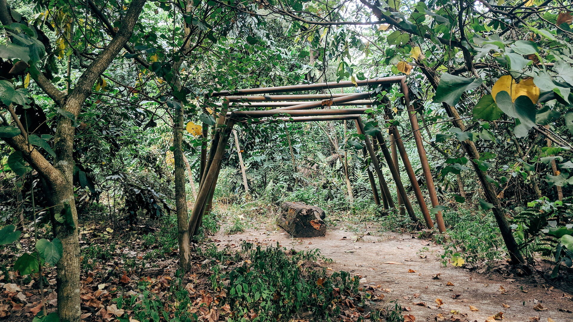 Hiking in Singapore: 18 Amazing Walking Trails For Trekkers To Try