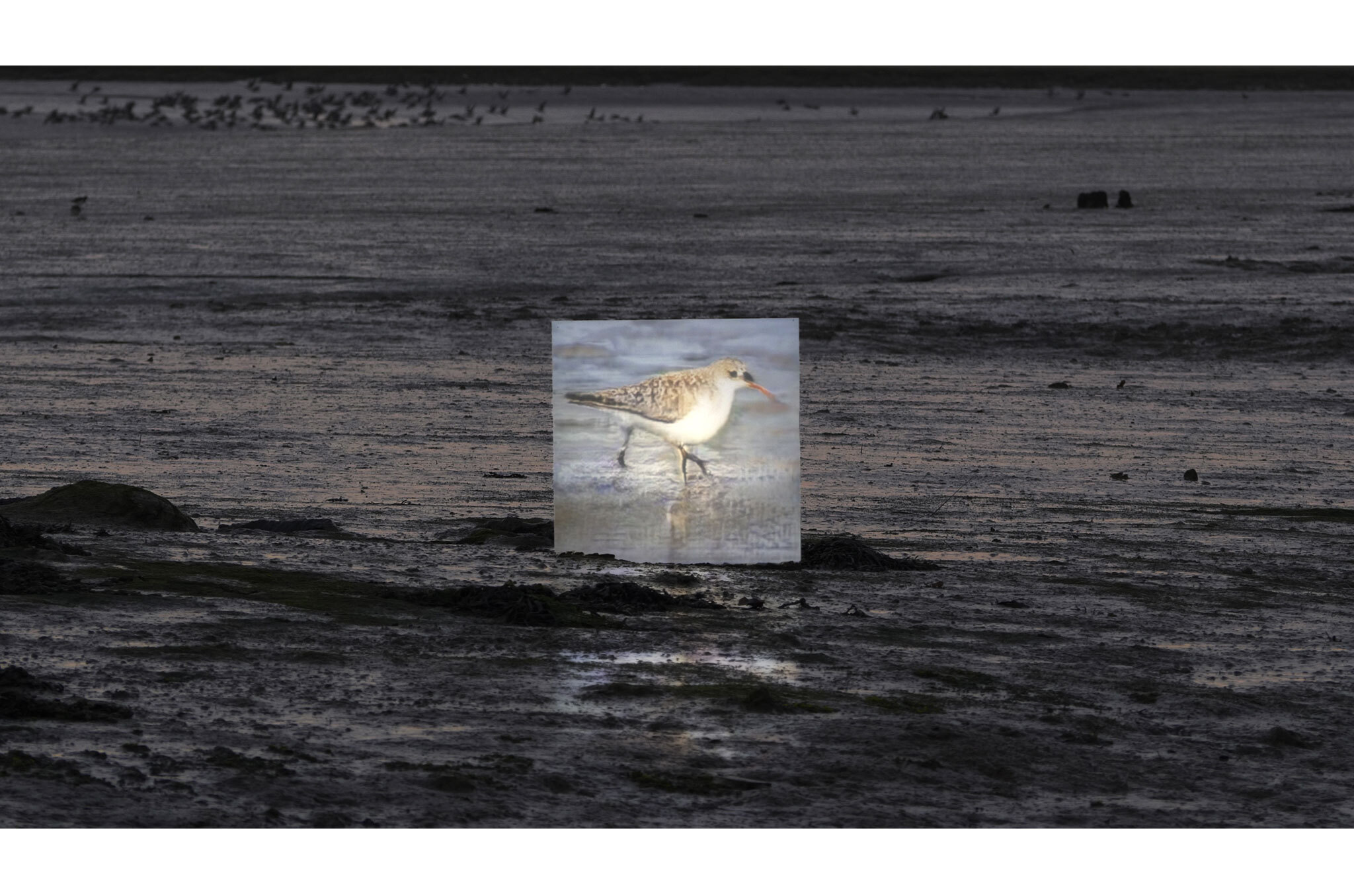 Zabludowicz Collection Invites: Jake Elwes | Art in London