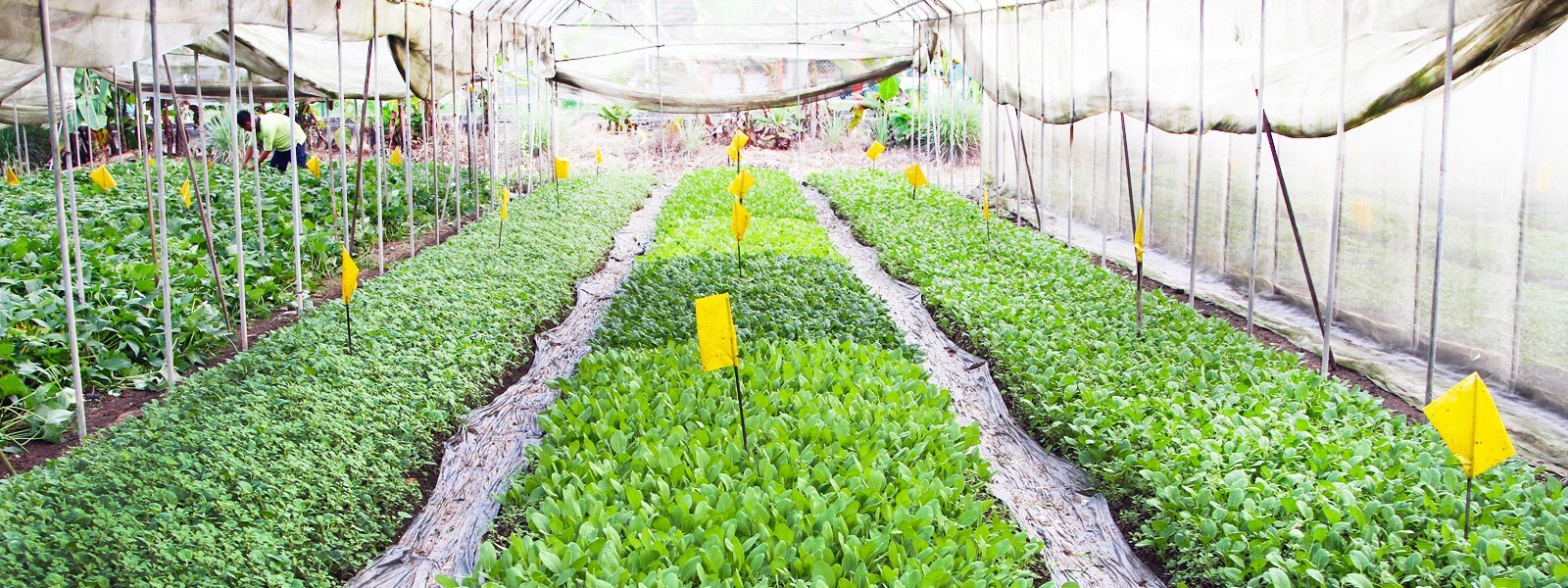 9 Best Farms in Singapore To Visit