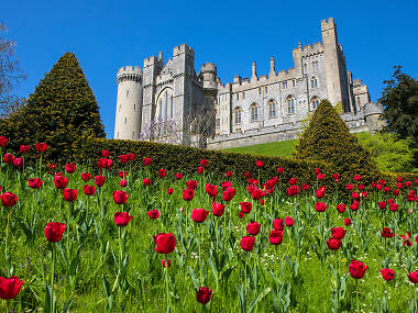 Best Spring Day Trips From London, Pagan Festivals To Flower Walks