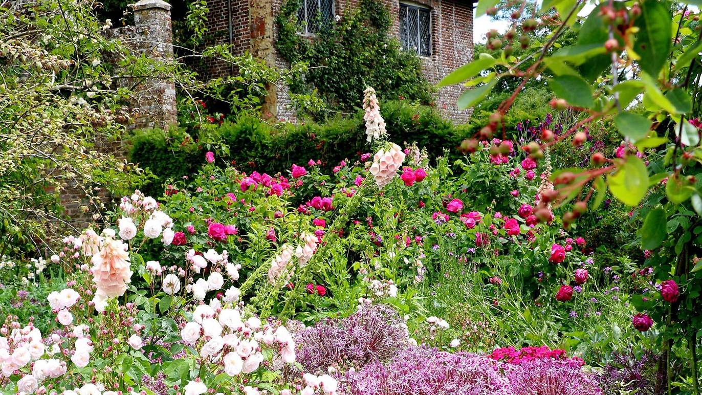 12 Day Trips From London For Flower Lovers: Flower Fields Near London