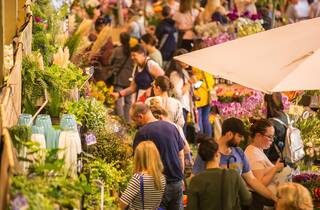 Melbourne International Flower and Garden Show | Things to do in Melbourne