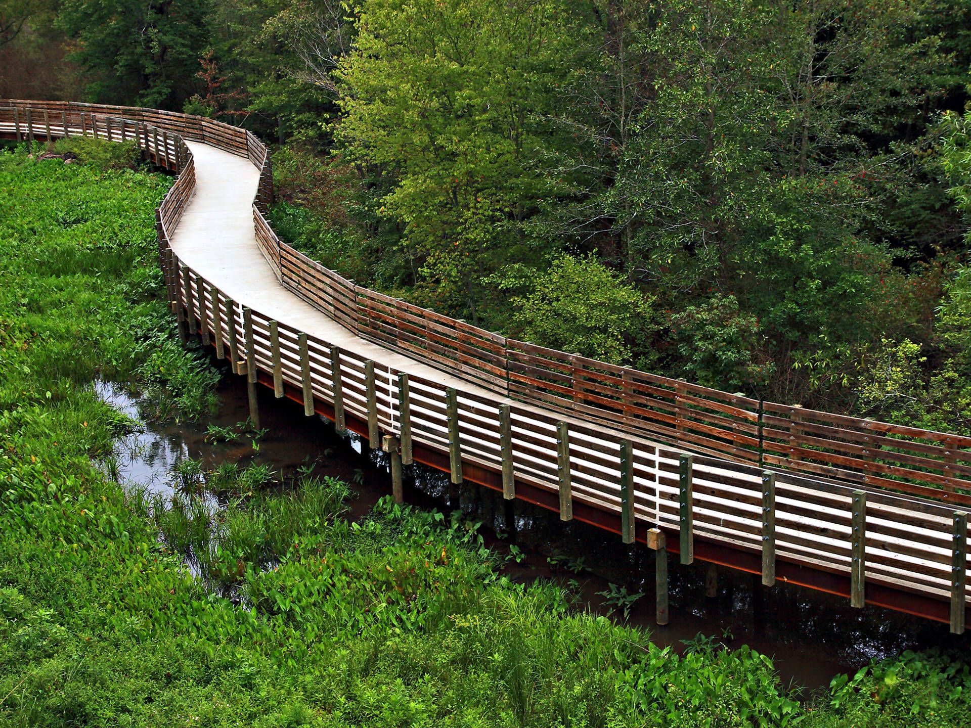 16 Best Free Things to do in Atlanta Right Now