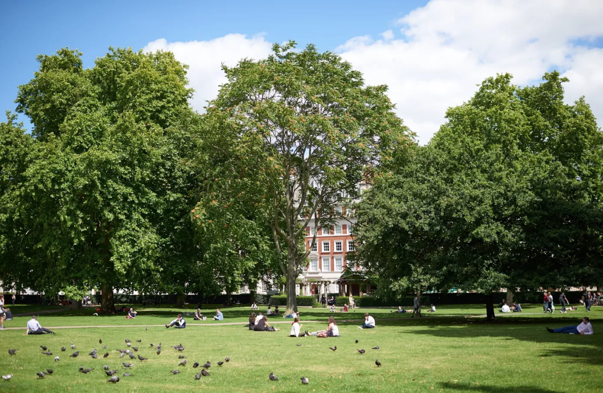 The May Fair | Things to do in London