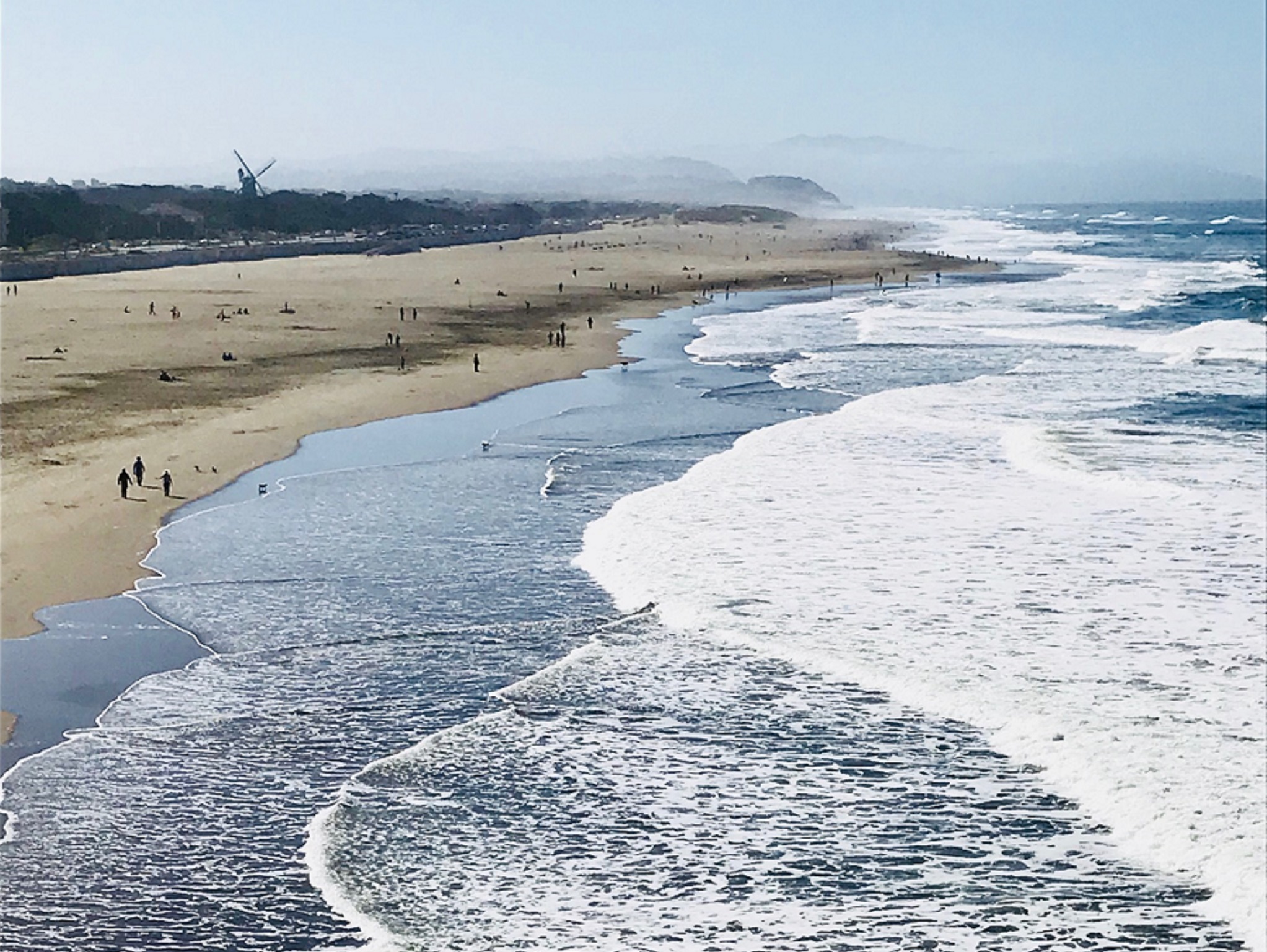 Time Out San Francisco | Best Events, Attractions & Things To Do