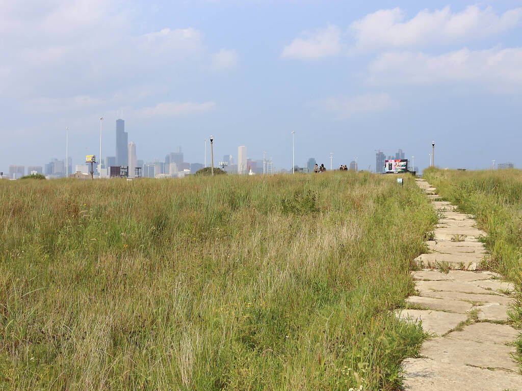 16 Best Views Of The Chicago Skyline