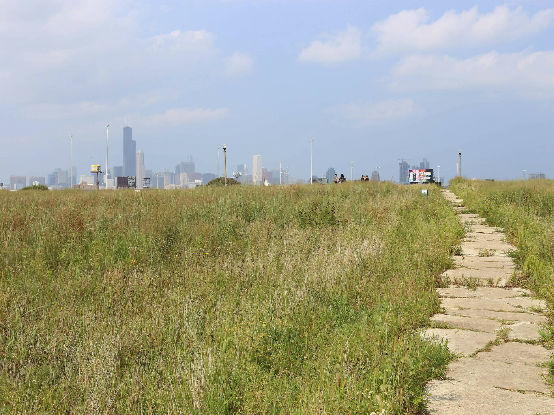 16 Best Views Of The Chicago Skyline