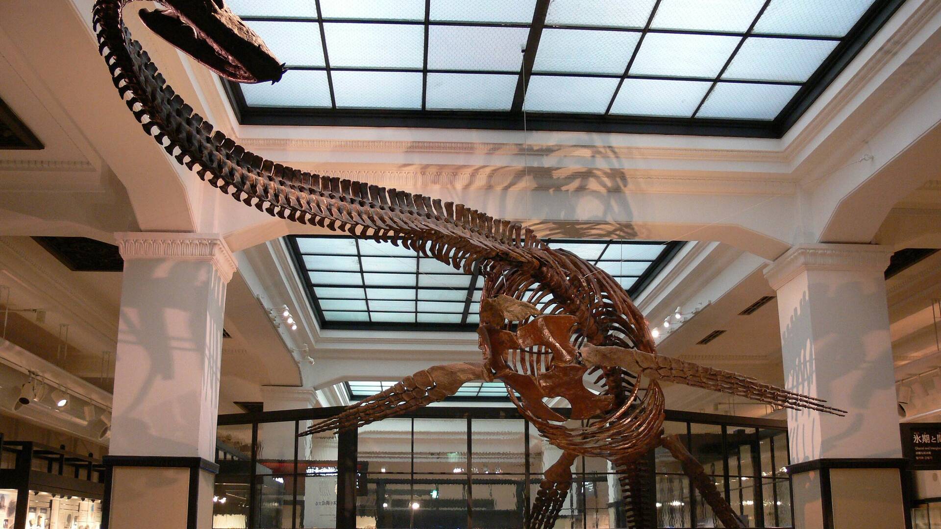 National Museum of Nature and Science | Museums in Ueno, Tokyo