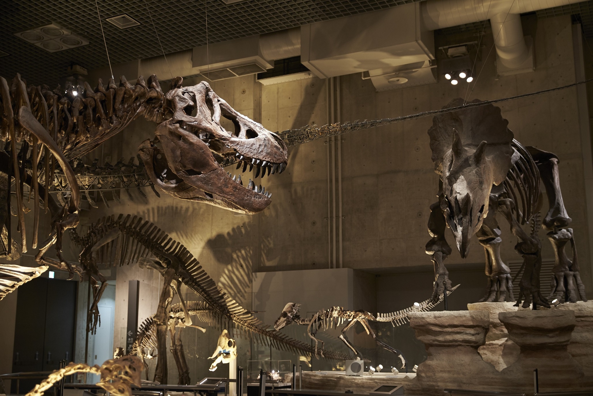 9 best museums in Tokyo for kids and families