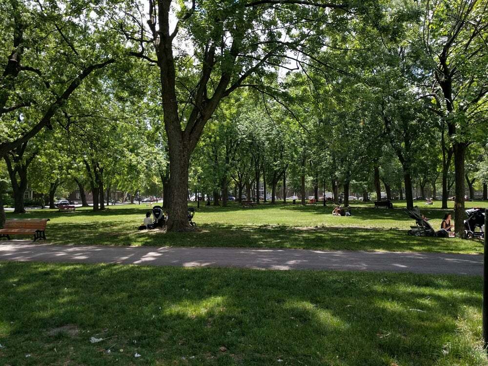 15 Best Montreal Parks to Explore and Enjoy All Year Long