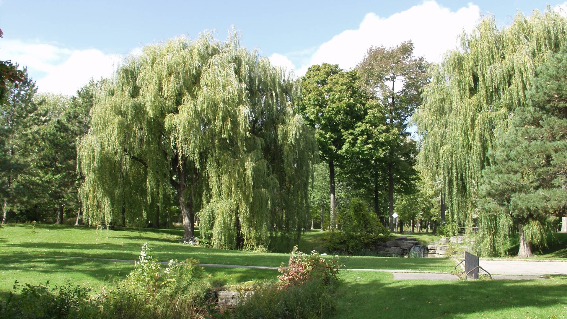 21 Best Montreal Parks to Explore